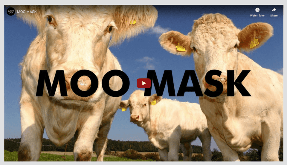 MOO MASKS – Support Amidst a Pandemic | LHB